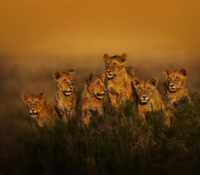 22 Amazing Nature Photographers to Really Inspire You in 2024